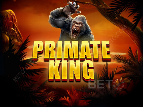(2025) Primate King スロット -無料プレイとレビュー